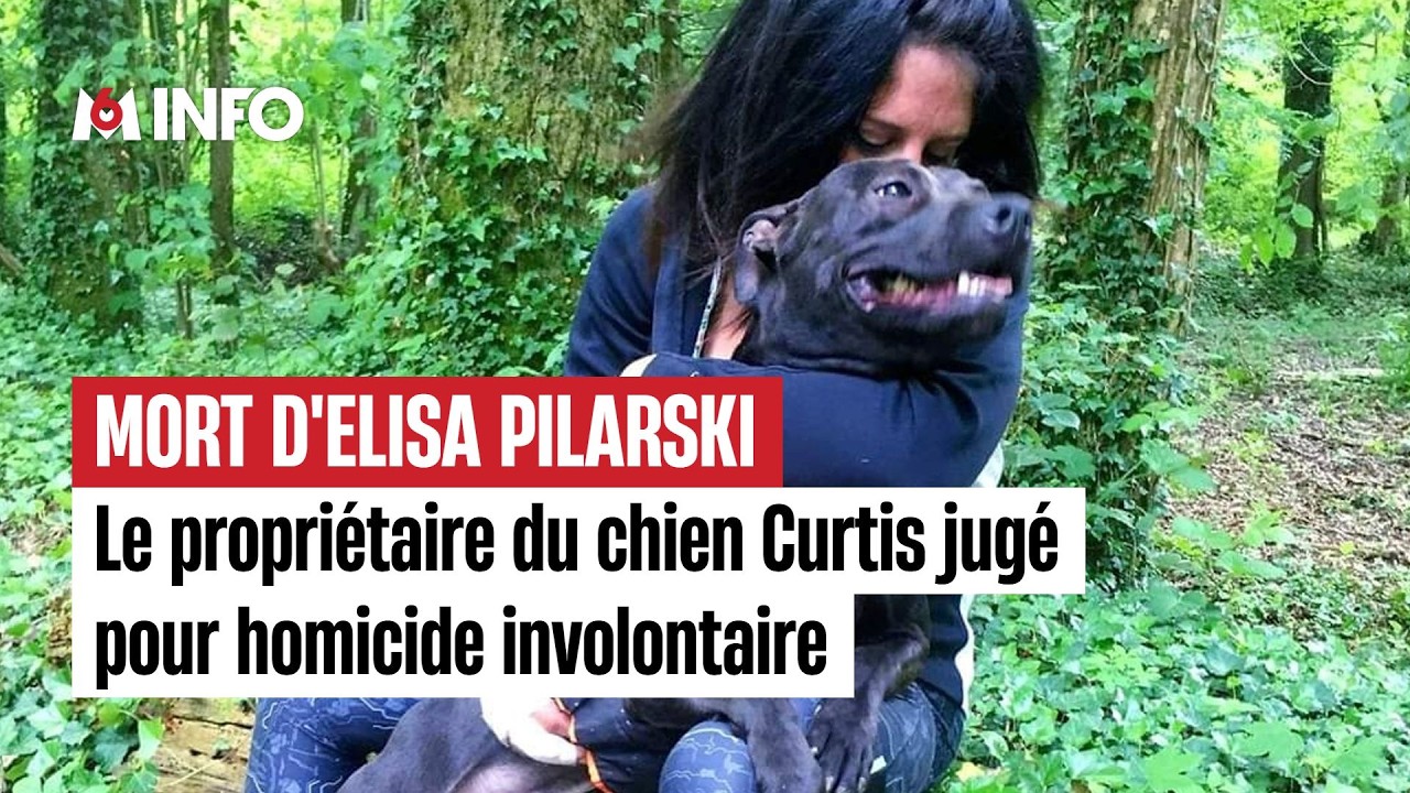 Le propriétaire du chien Curtis jugé pour la mort d'Élisa Pilarski ...