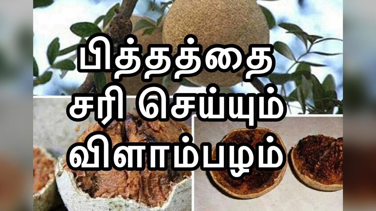 Vilam palam payangal | Benefits of wood apple | விளாம்பழத்தின் பயன்கள் ...