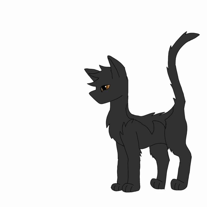 Warrior cats Sunbeam and Nightheart SpeedPaint - YouTube