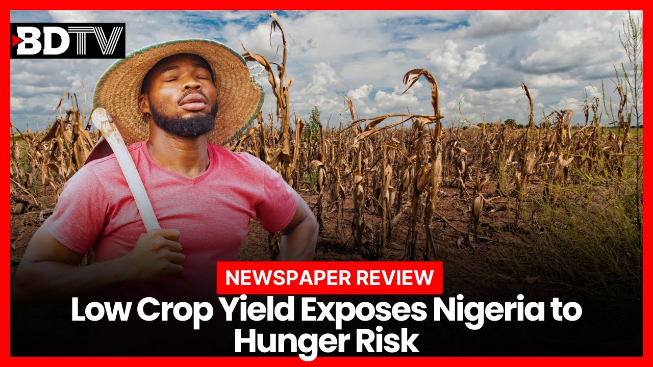 Low Crop Yield Exposes Nigeria to Hunger Risk - YouTube