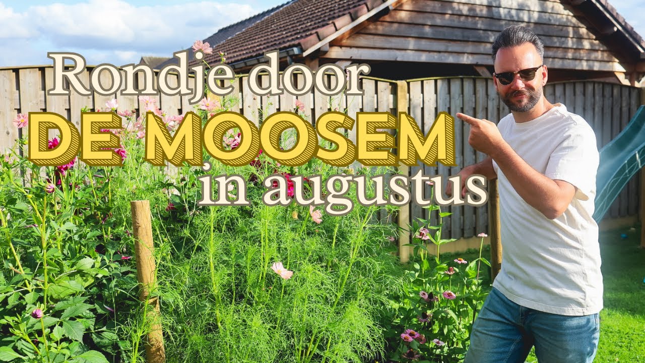 Rondleiding door De Moosem in augustus - YouTube