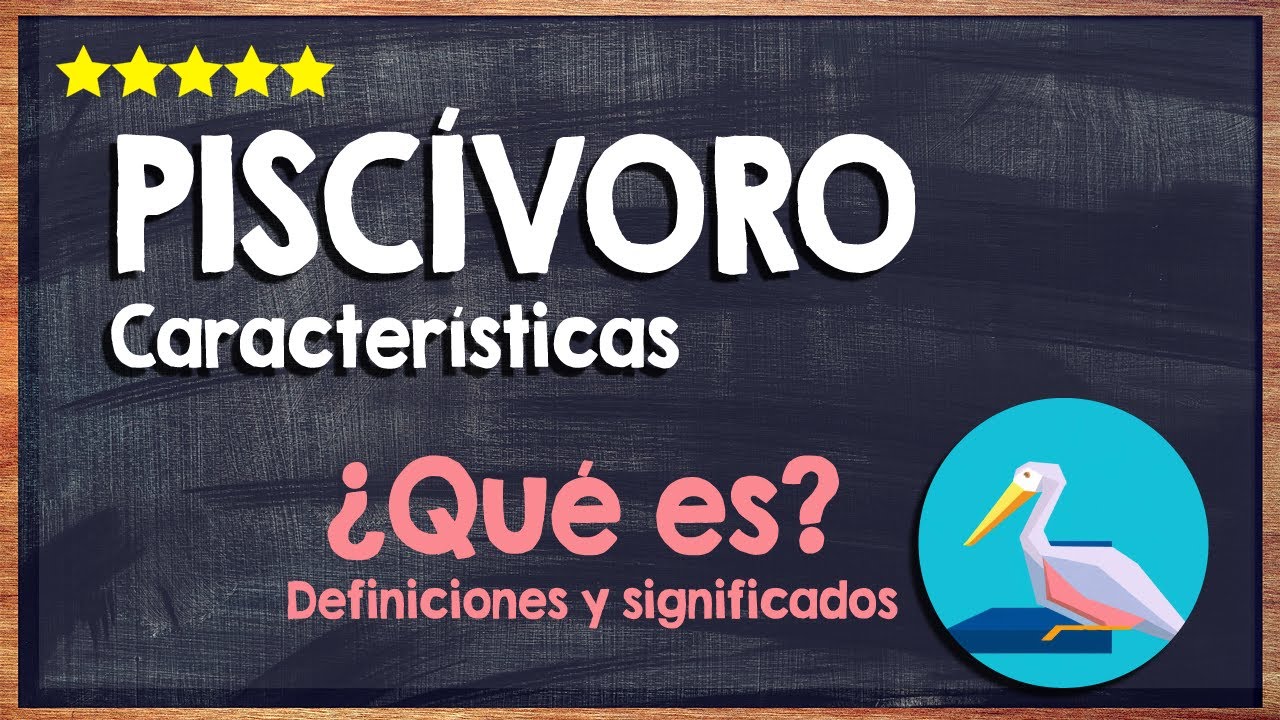 🙏 ¿Qué es un Piscívoro? - Aprende Sobre los Animales que solo se ...