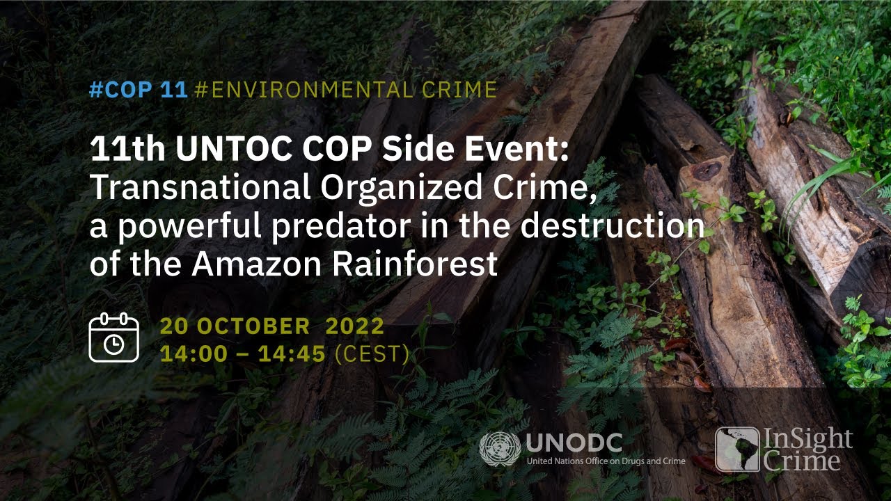 COP11 Transnational Organized Crime, a Powerful Predator in the Destruction of the Amazon ...