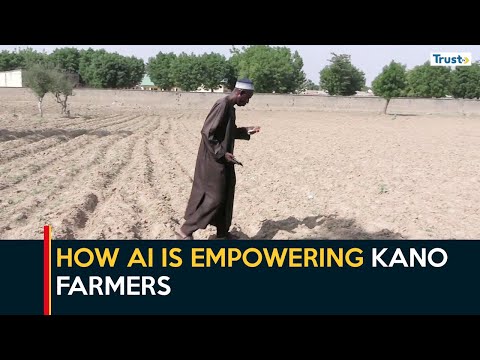 How AI Is Empowering Kano Farmers