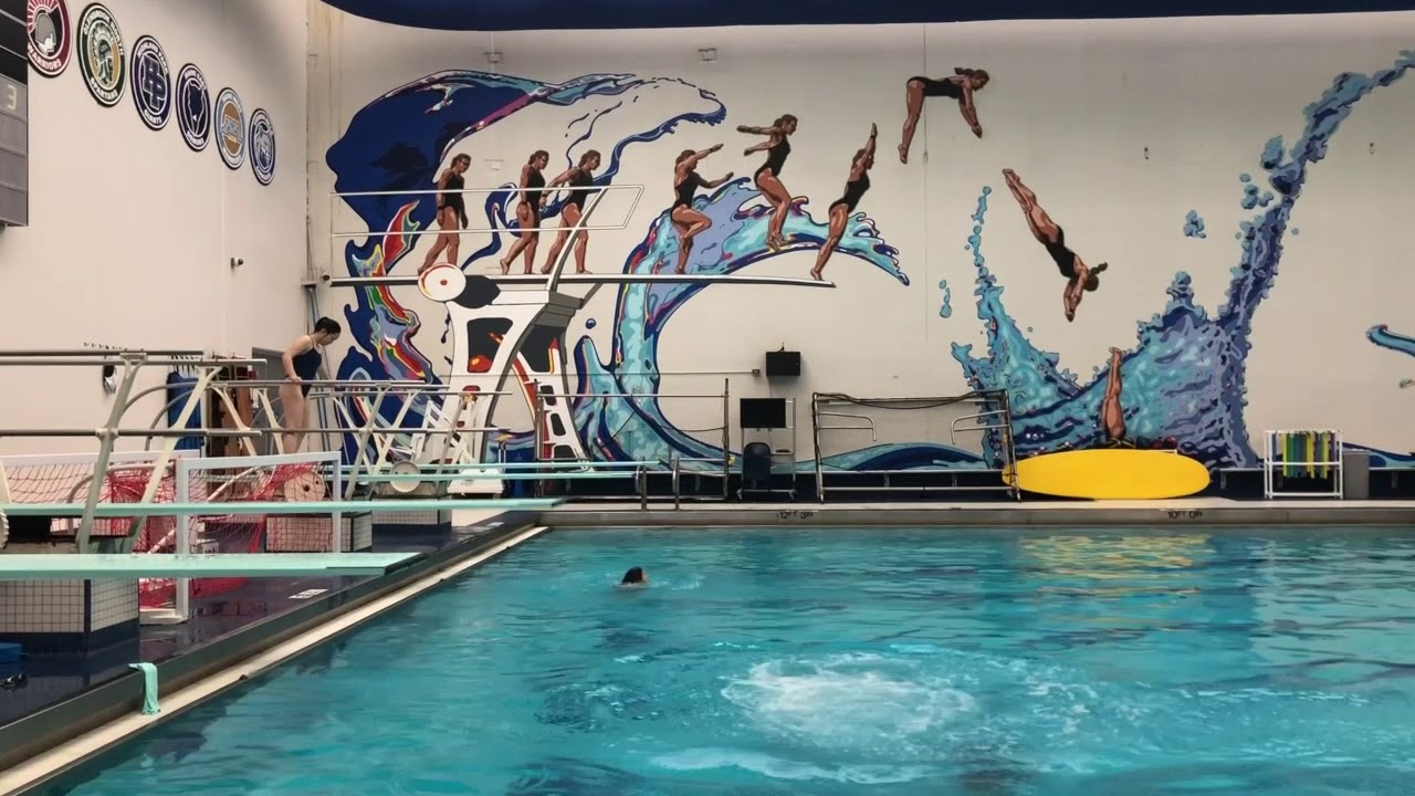 Allison Landis 2020 Diving March 2019 - YouTube