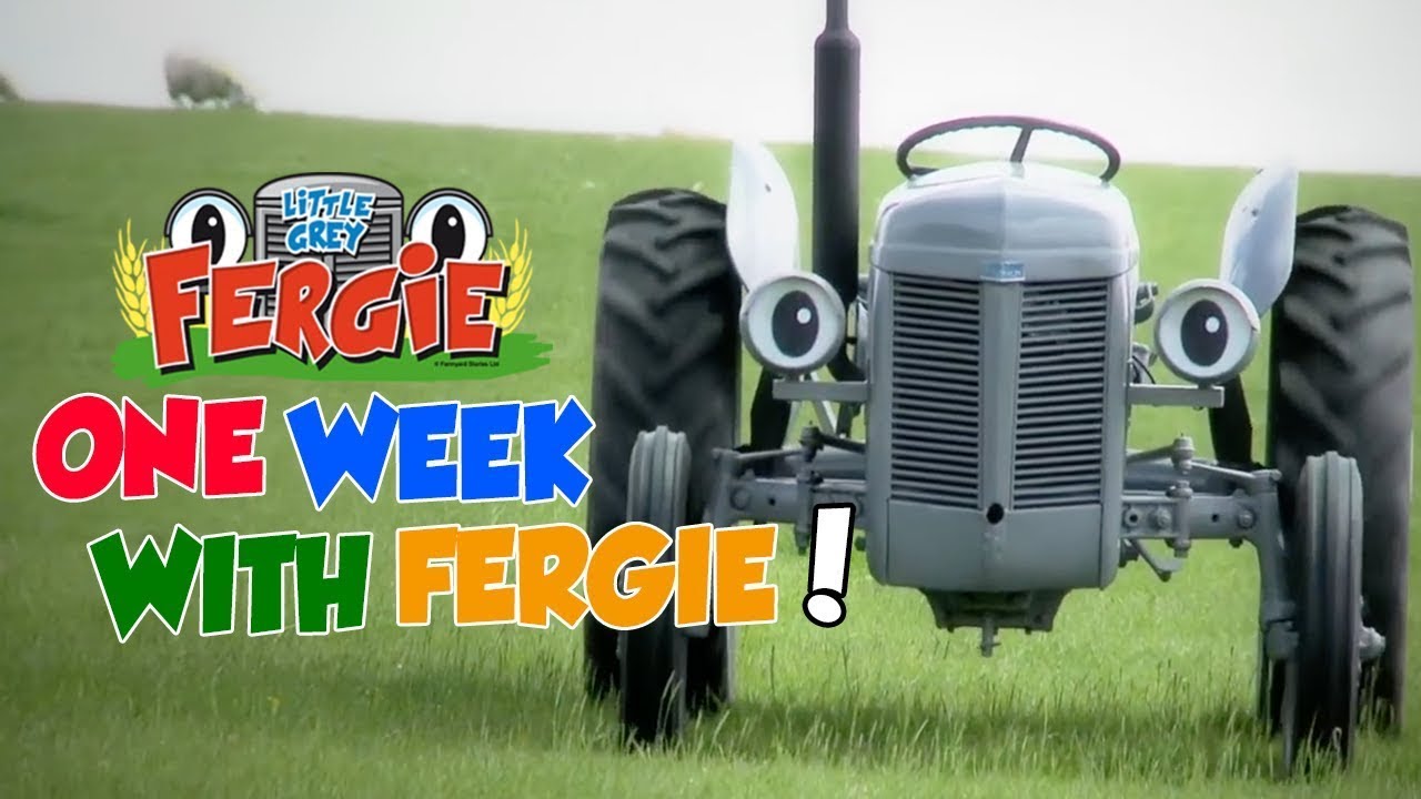 A Week with Fergie ! (Monday to Sunday) - Film | Little Grey Fergie ...