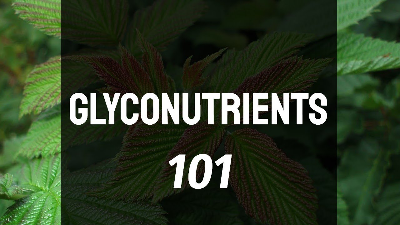 glyconutrients food sources - List of foods to make Glyconutrients the ...