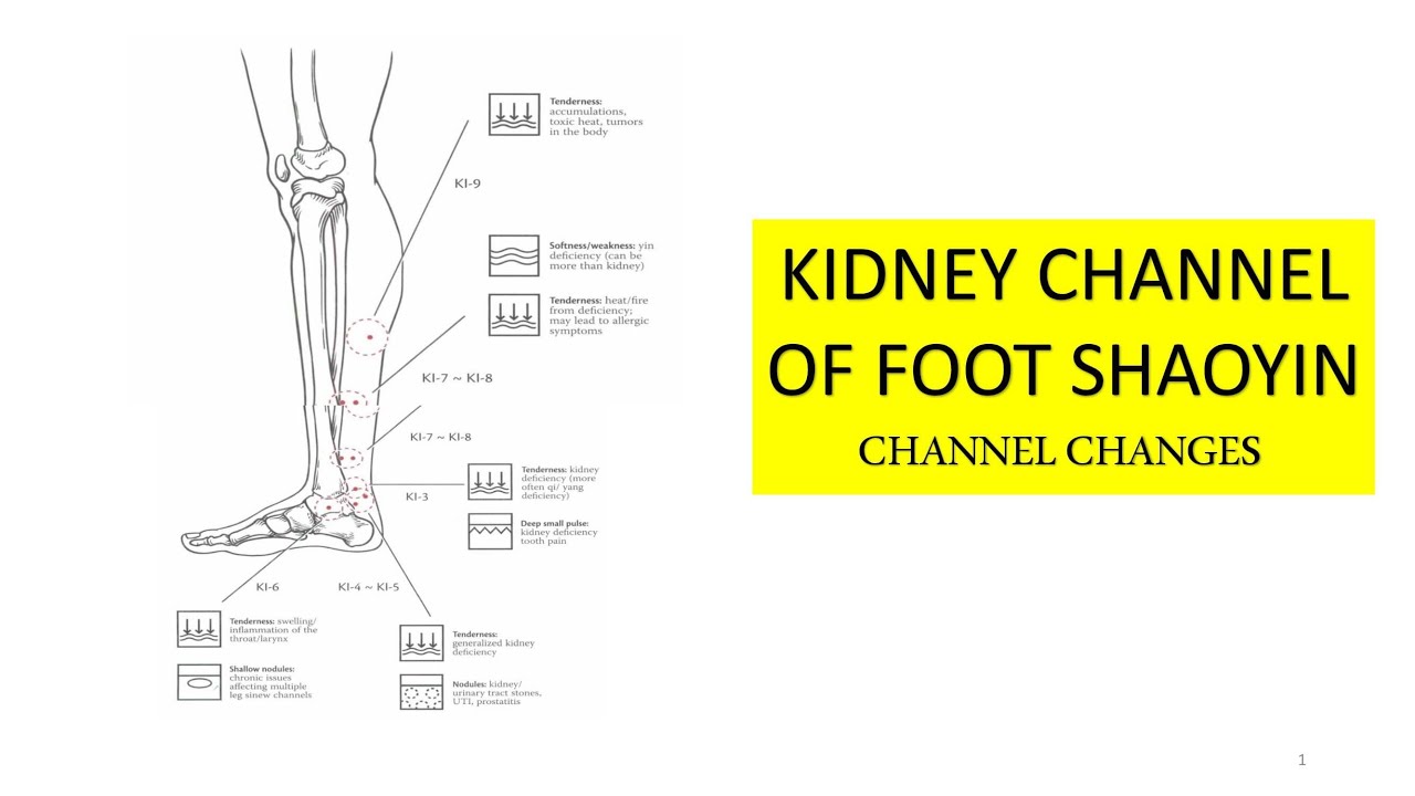 CHANNEL CHANGES OF THE FOOT SHAO YIN - YouTube
