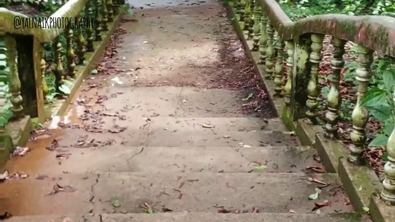 Dandeli Monsoon #Quarantine time - YouTube