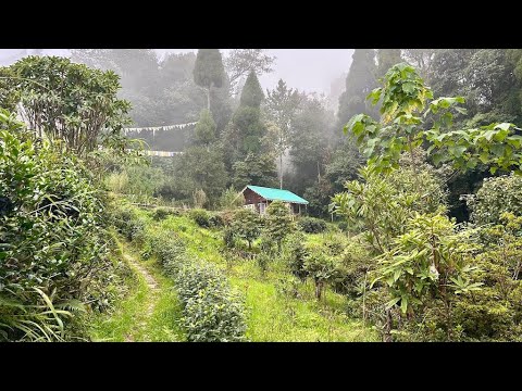 Day Trip to Rimbick | Hidden Gem Near Darjeeling - YouTube
