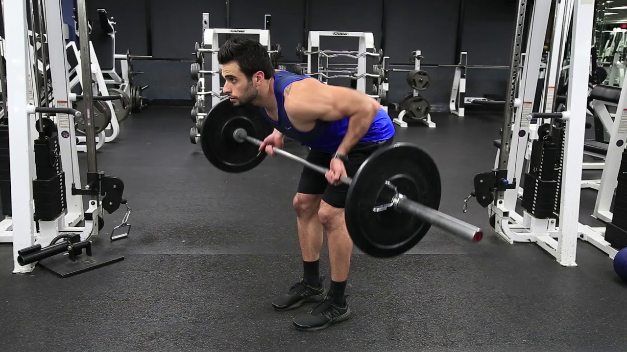 464) Bent Over Barbell Reverse Grip Row [Barbell] - YouTube
