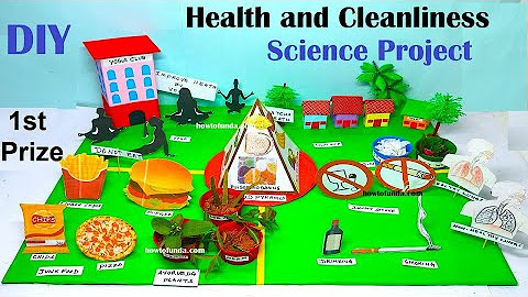 science project ideas on health and cleanliness | medical model of ...