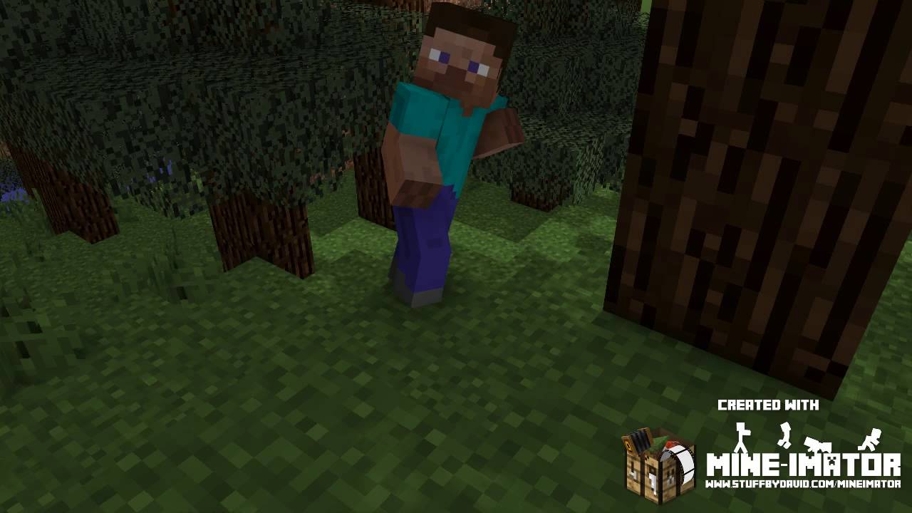 Stupid Steve - YouTube