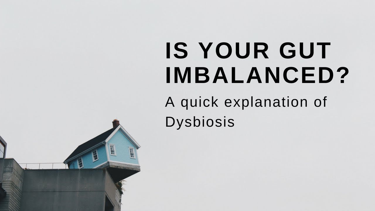 What is Dysbiosis? Quick Explanation of the Imbalance in your Gut - YouTube