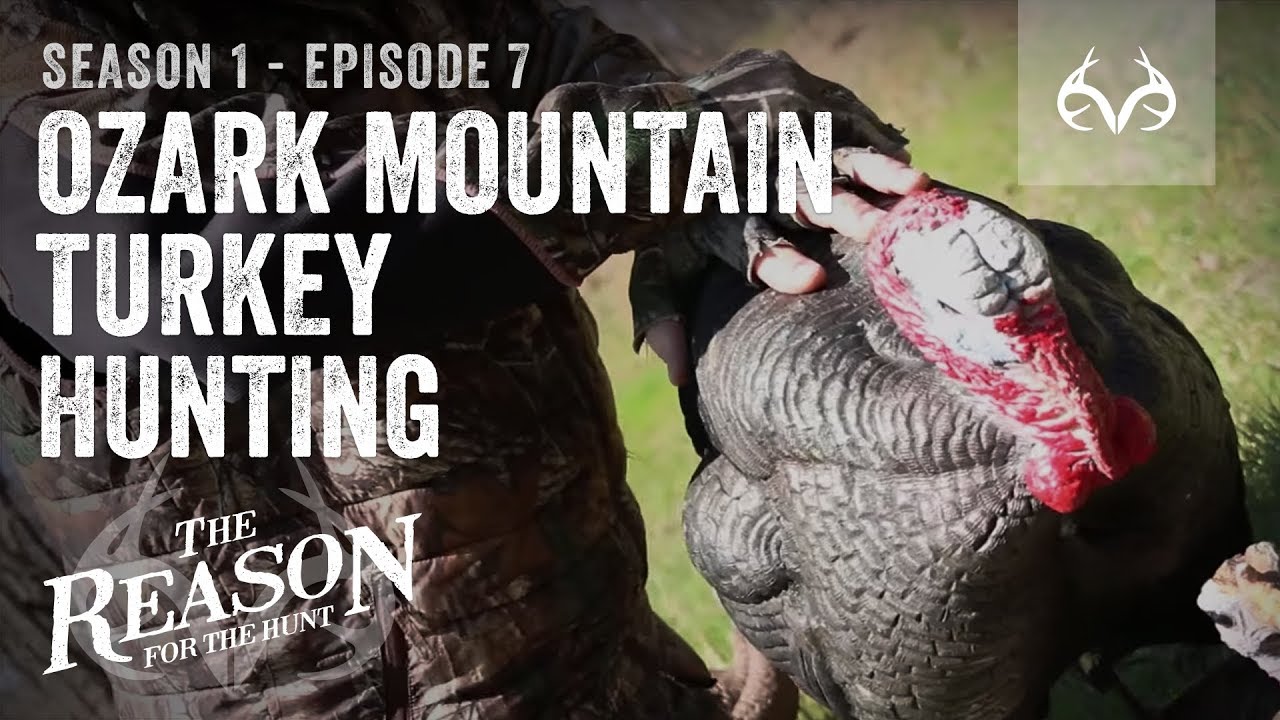 Ozark Mountains Turkey Hunt - YouTube