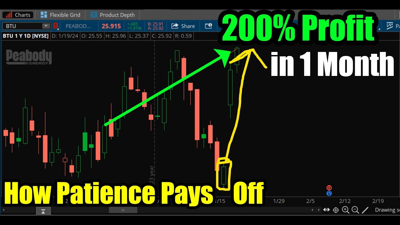 How Patience Pays Off 200% Profit in 1 Month - YouTube