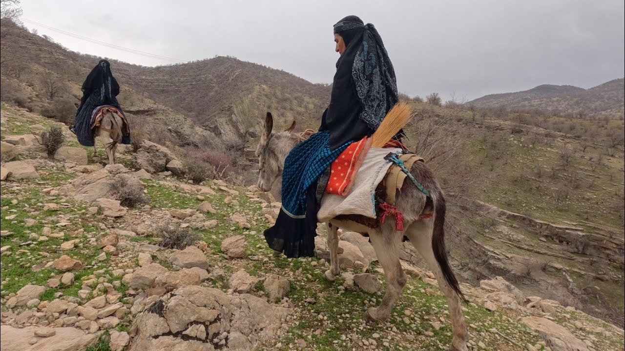 Nomadic Women Go To Visit Their Friend In Another Village _ Nomadic ...