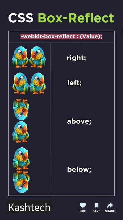 Box reflection property in Css | #css3 #html5 #webdevelopment - YouTube