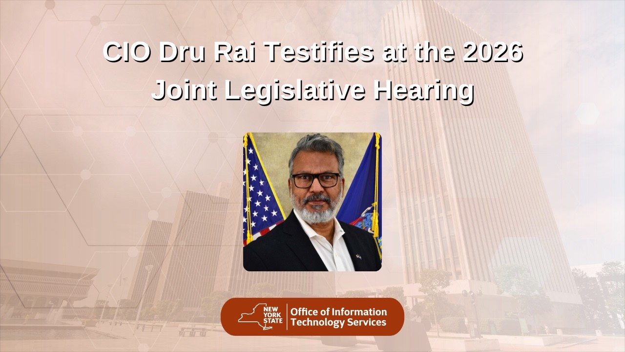 CIO Dru Rai Testifies at the 2026 Joint Legislative Hearing - YouTube