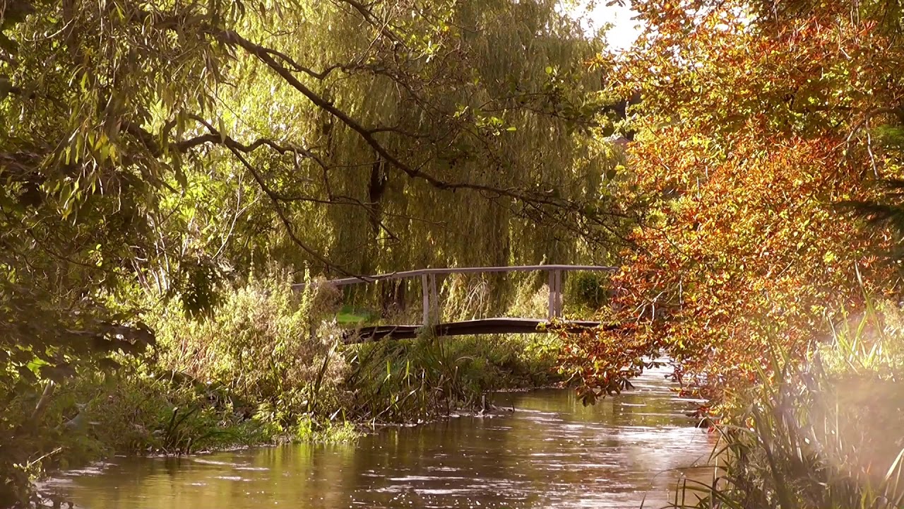 The Faerie Queene (Excerpt) - By Edmund Spenser - Read by James Kingdon ...