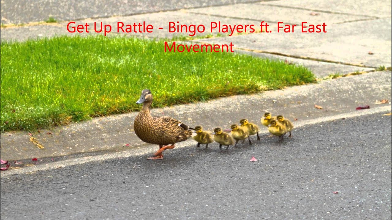 Get Up Rattle Bingo Players ft. Far East Movement (audio) - YouTube