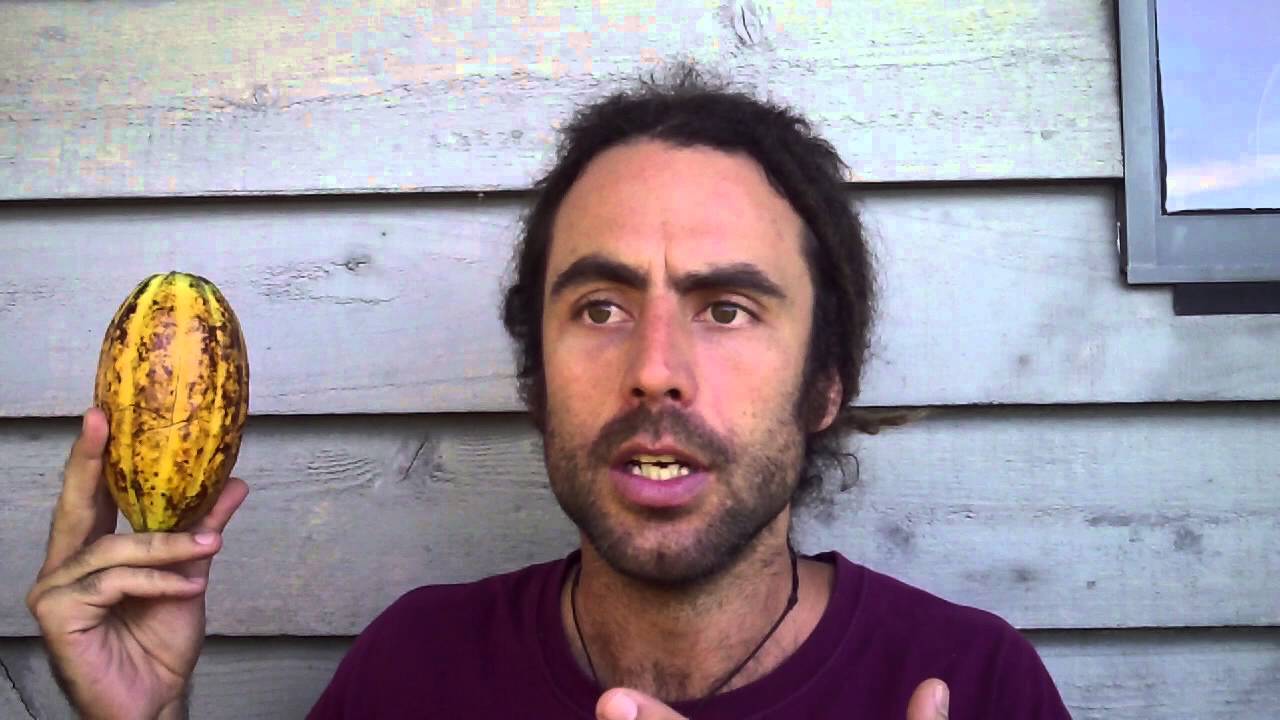 The Chocolate Wizard- Intro - YouTube