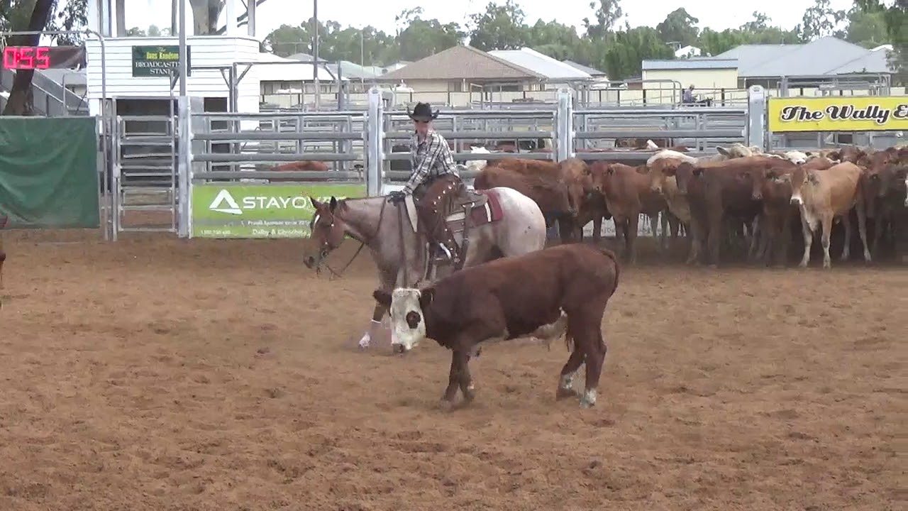 Peptos Stylish Player & Ella-Rae Wilson Rose - Chinchilla 7500 NP ...