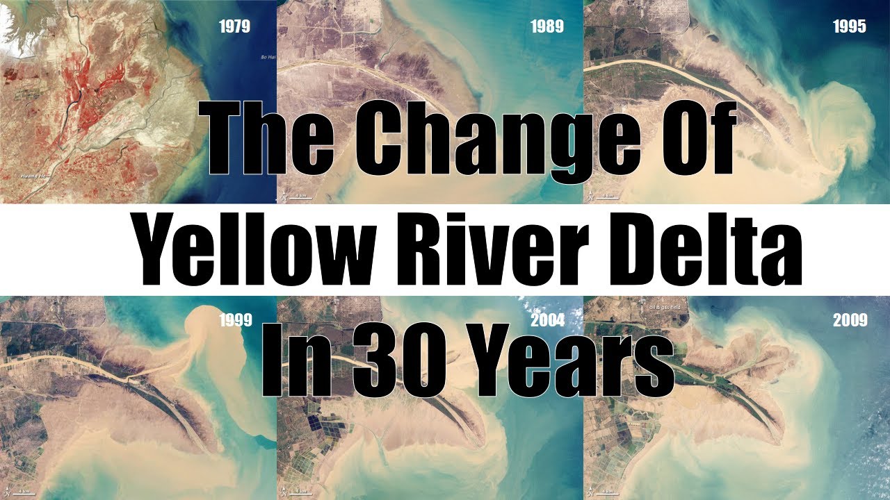 Yellow River Delta