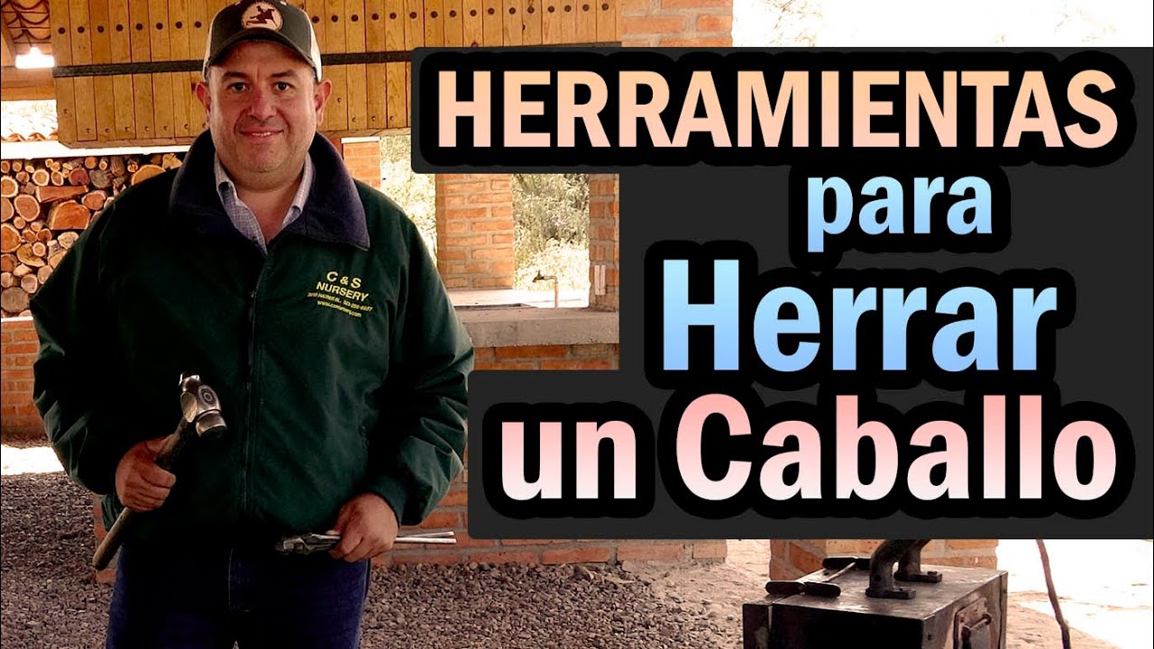 Las Herramientas e Instrumentos que usan los Herradores de Caballos ...