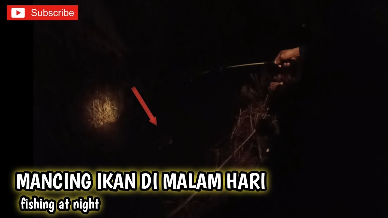 MANCING DI MALAM HARI - MANCING IKAN MALAM - YouTube