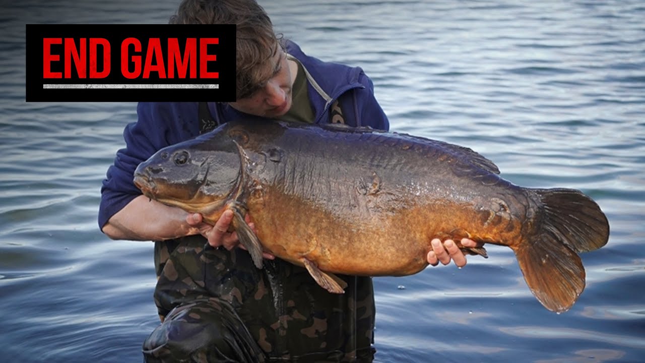 Lad and Dad duo catch some of the North West’s best carp! preview - YouTube