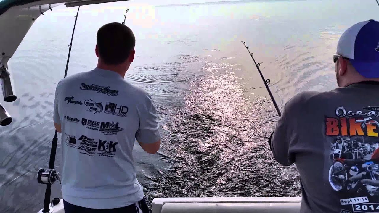 Patapsco River fishing for striper - YouTube