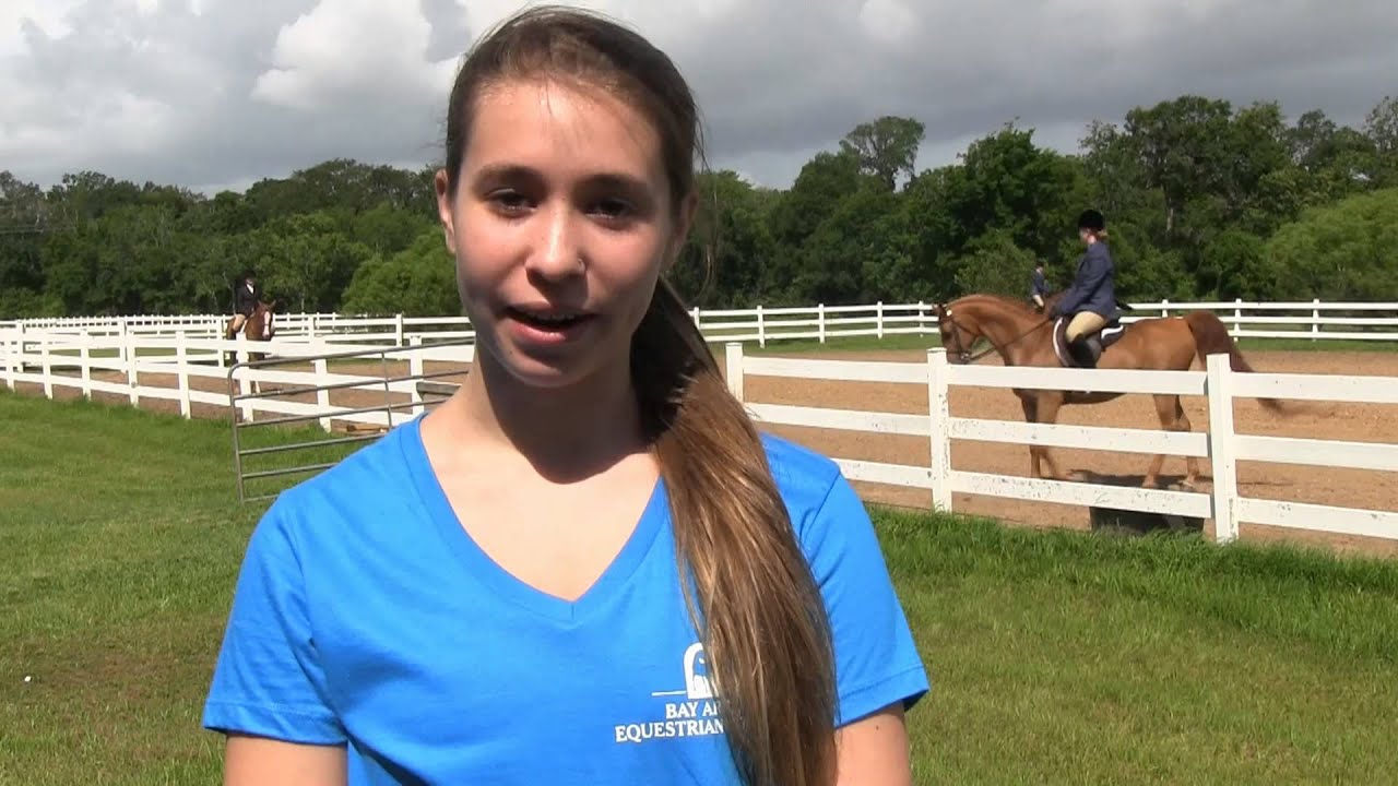 Bay Area Equestrian Center Riding Academy - YouTube