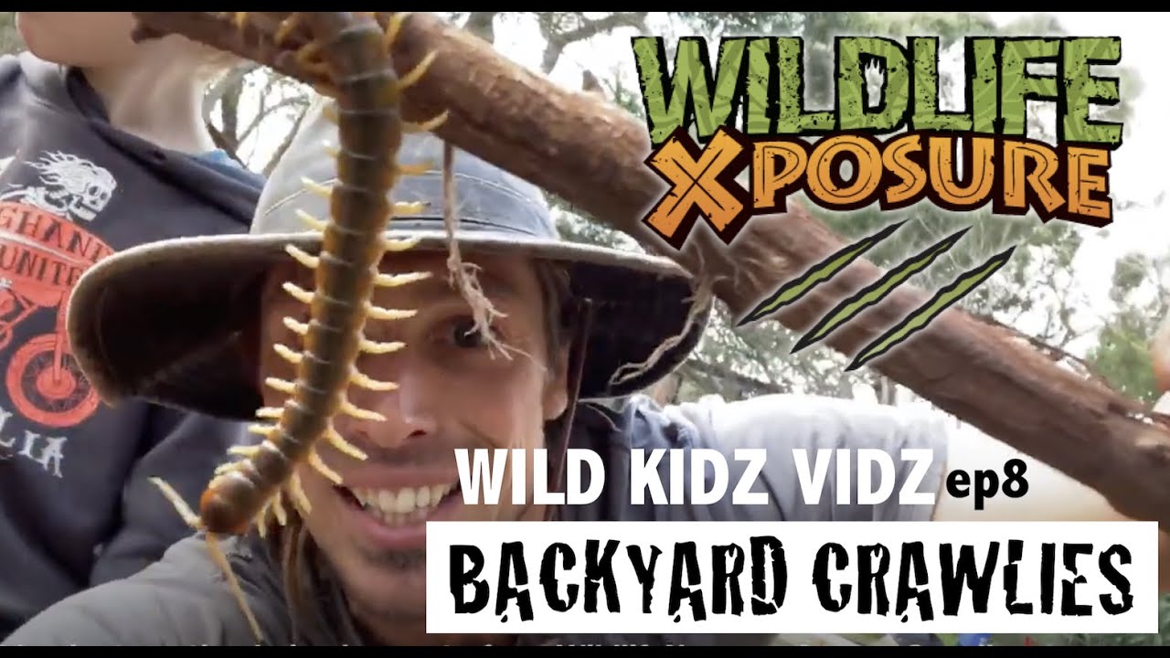 WildlifeXposure | Interactive Wildlife Presentations - WildlifeXposure