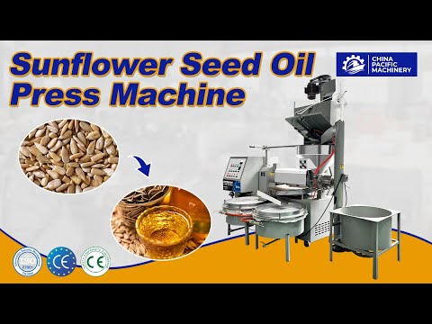 Small Scale Sunflower Seed Oil Press Machine|Sunflower Oil Extraction ...
