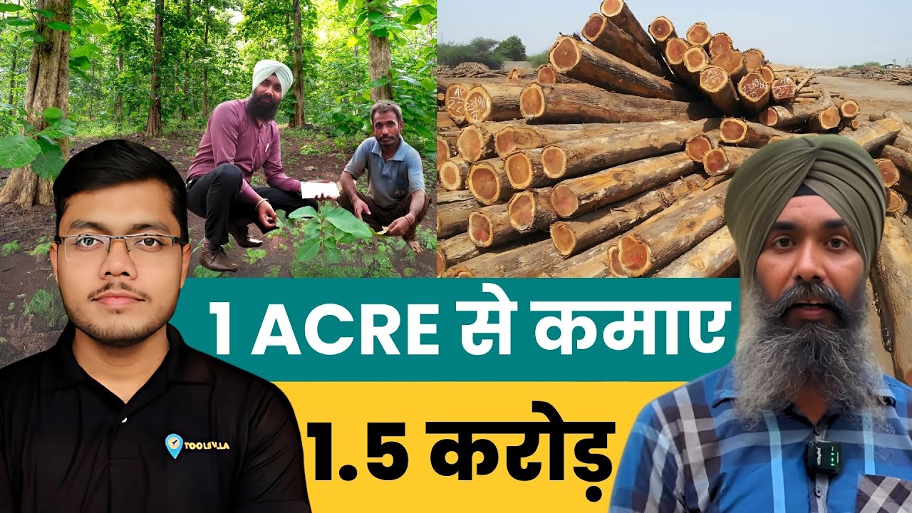 1.5 crore in 1 acre | Teak wood Farming (Sagwan Farming) | Hybrid ...