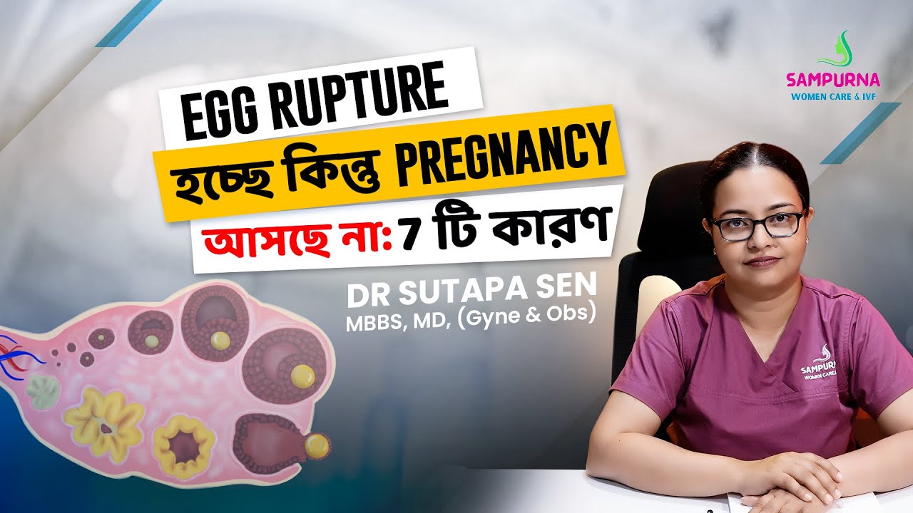 Egg Rupture হচ্ছে কিন্তু Pregnancy আসছে না: 7 টি কারণ - Explained by Dr ...