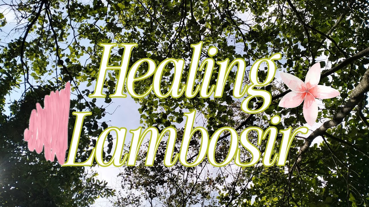 Healing Lambosir 🌱 - YouTube