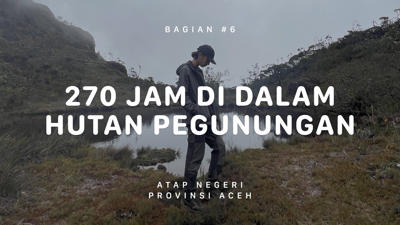 GUNUNG LEUSER - Atap Negeri Aceh #6 - YouTube