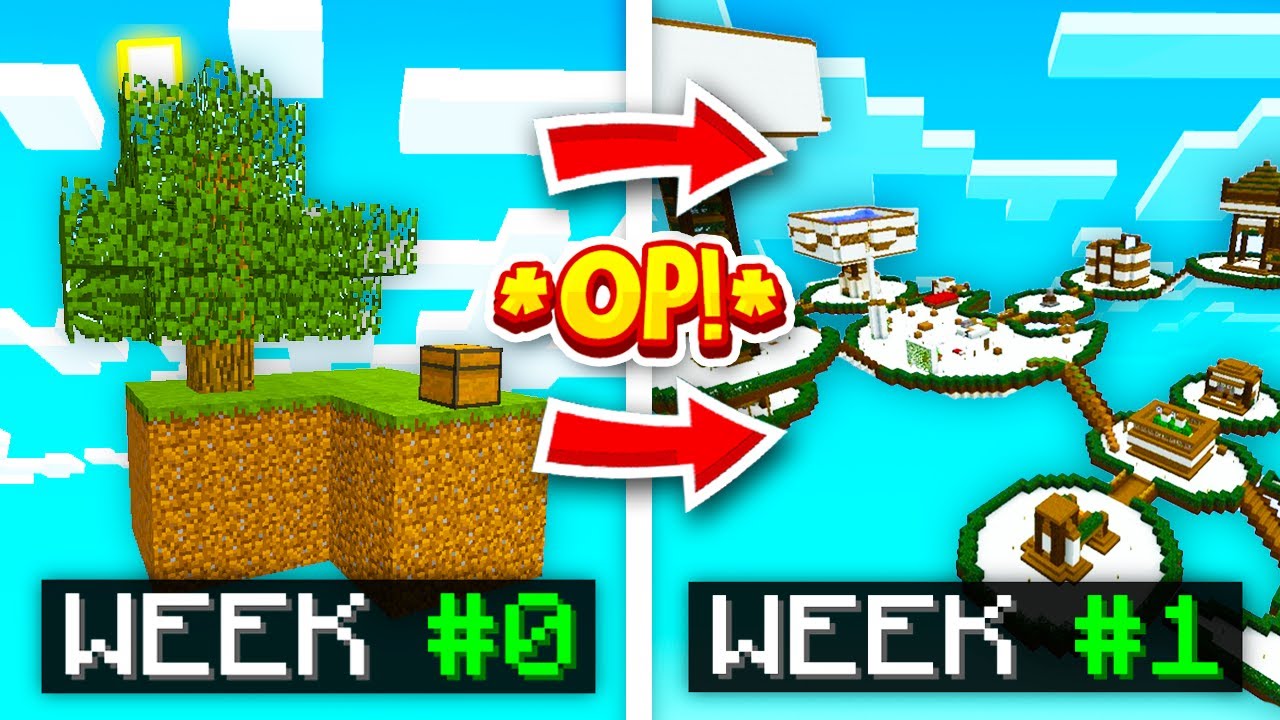 THE BEST *EARLY GAME* MONEY MAKING METHODS On BEST SKYBLOCK SERVER ...