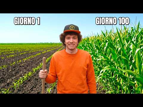 45.000 m² MISIR EKİYORUM (YAĞMUR GELMEDEN)