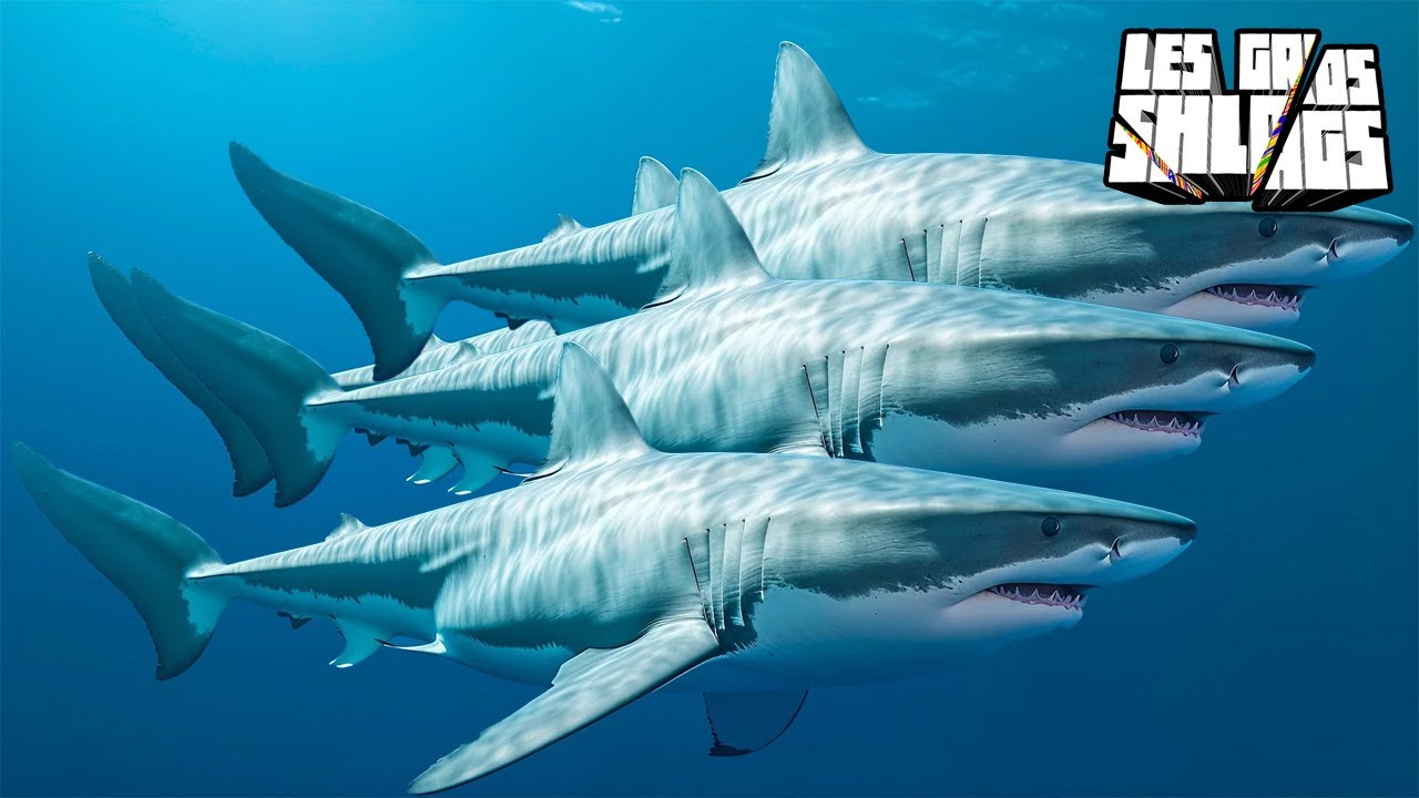 triple monstre - YouTube