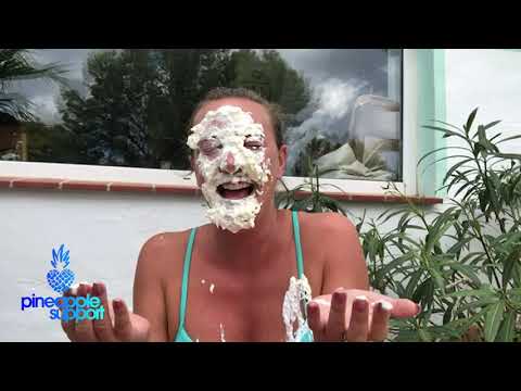 Cream Pie Challenge