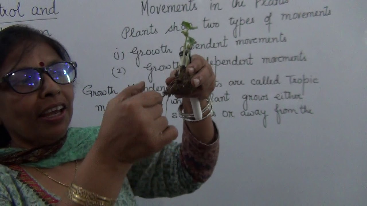 Movements in plants( Control & Coordination) Class 10 (Lecture-V) - YouTube