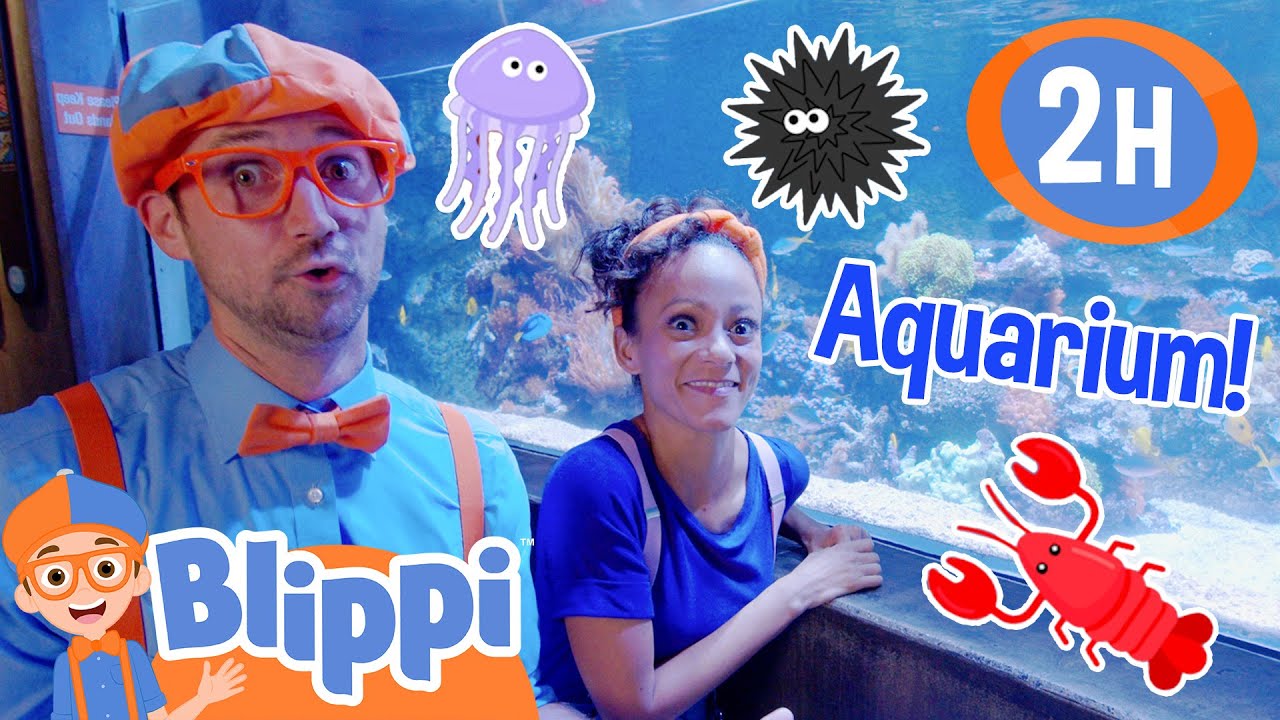 Blippi and Meekah's Aquarium! | Blippi | Animals for Kids | Educational ...