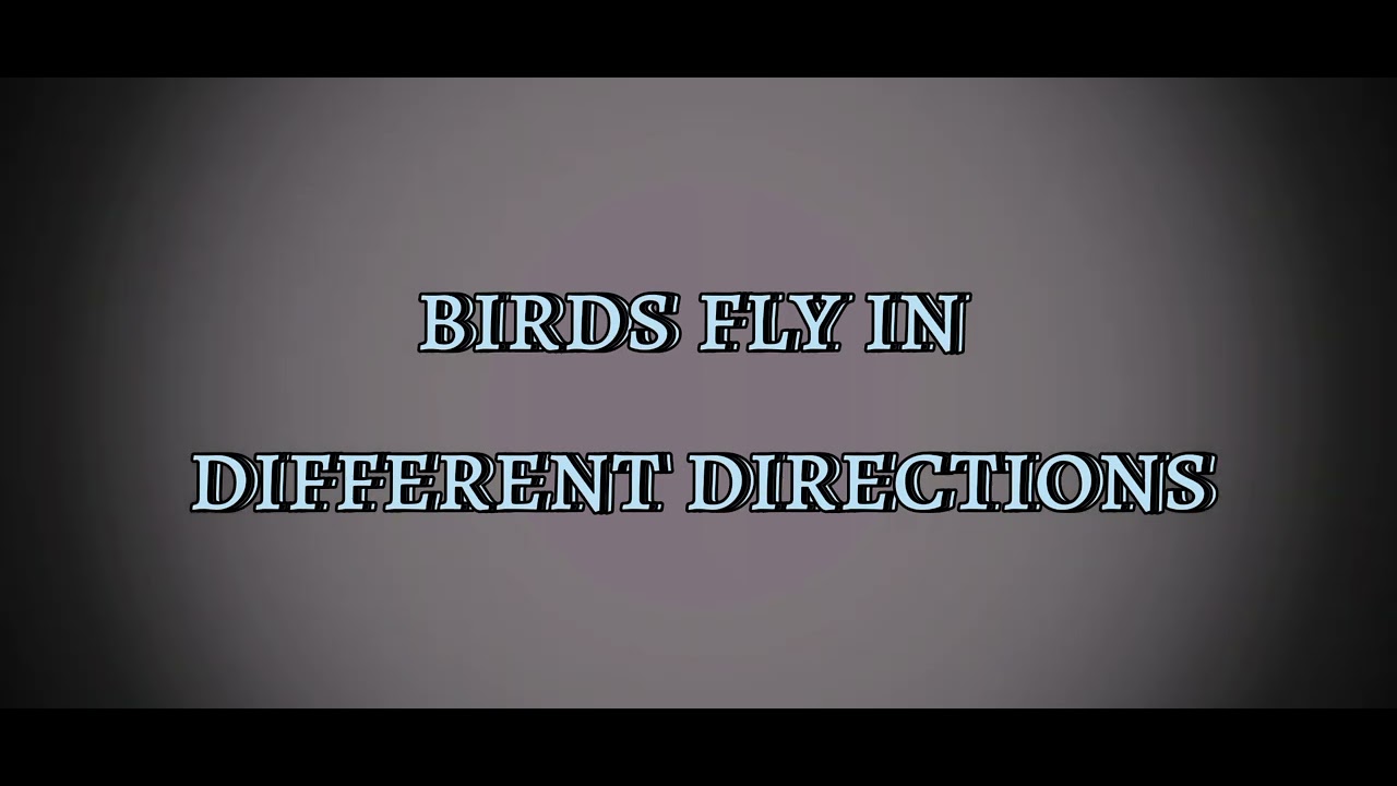 Birds - Imagine Dragons (Lyrics) - YouTube