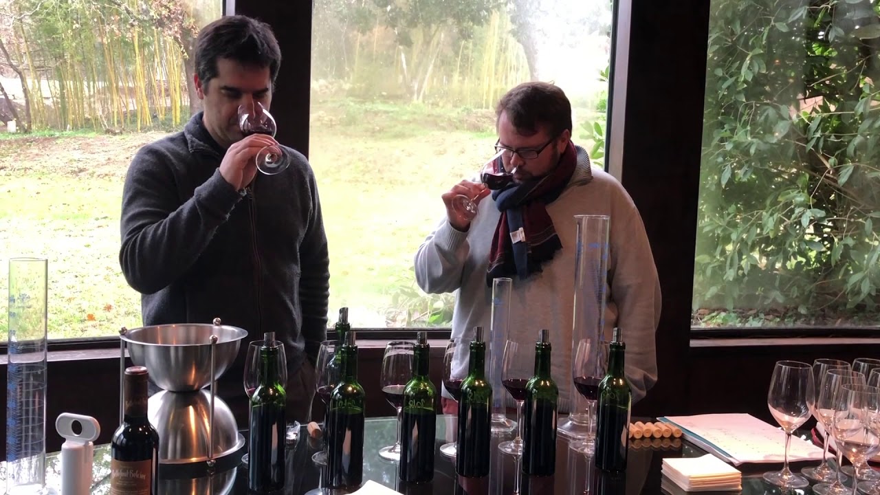 BLENDING THOMAS DUCLOS - YouTube