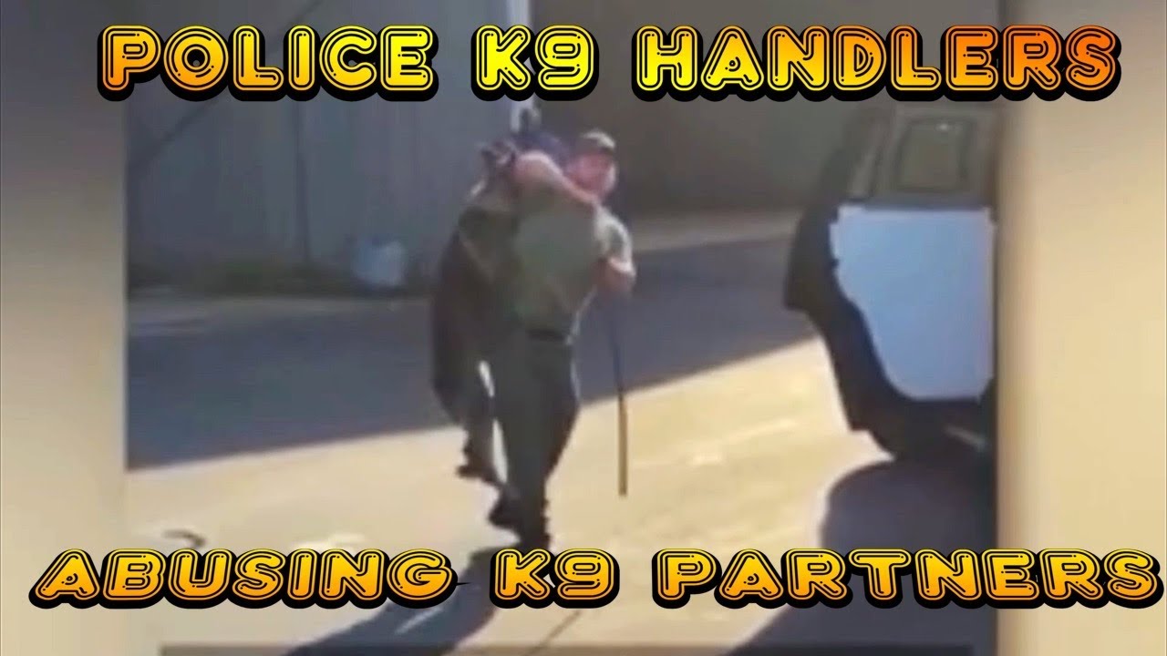 Police K9 Handlers Abusing K9 Partners - YouTube