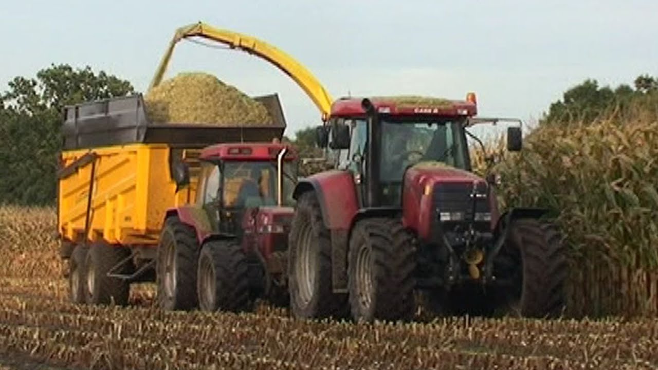 Maïs 2007 Loonbedrijf Lammers met John Deere 6850,Case IH 5150,Case IH ...