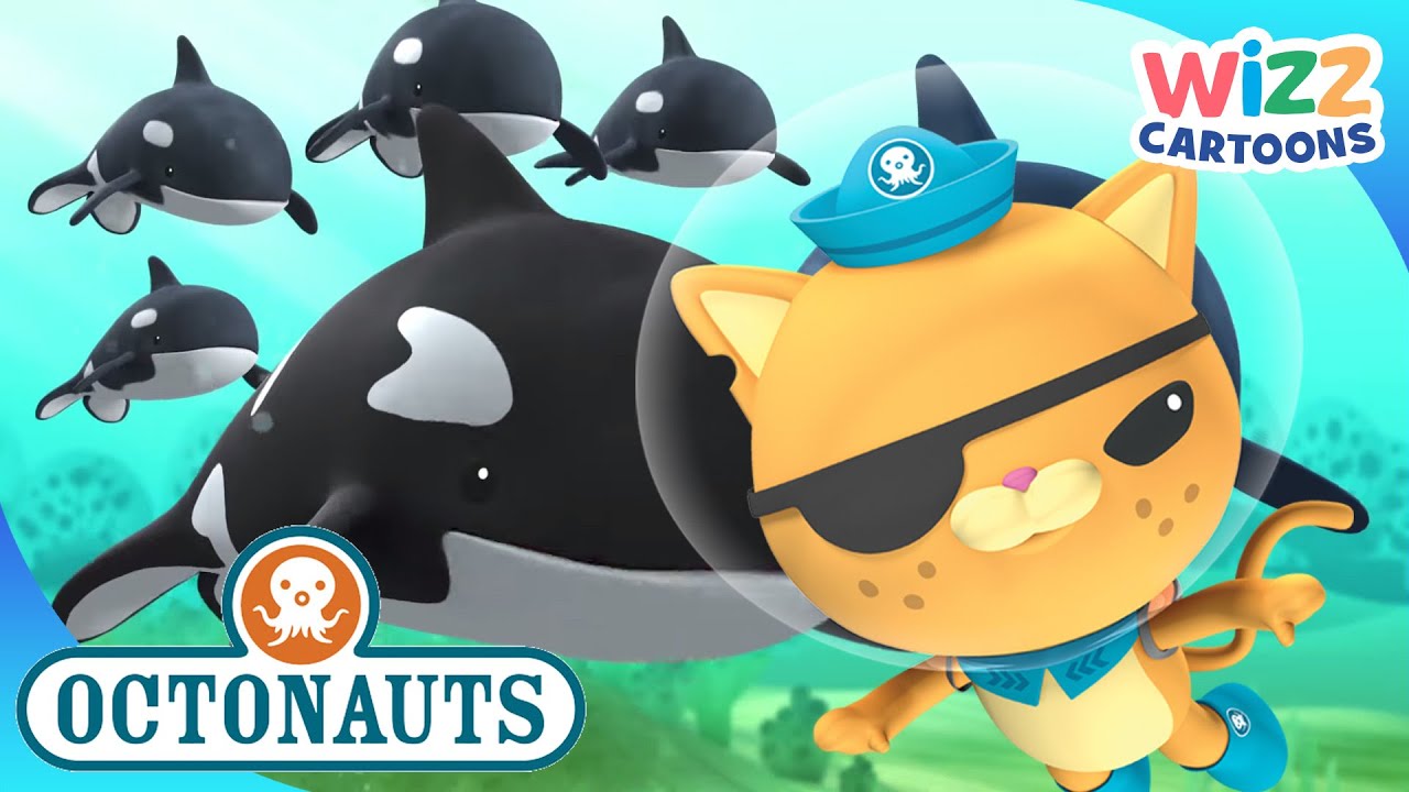 @Octonauts - Rescue Missions | Compilation | Wizz Cartoons - YouTube